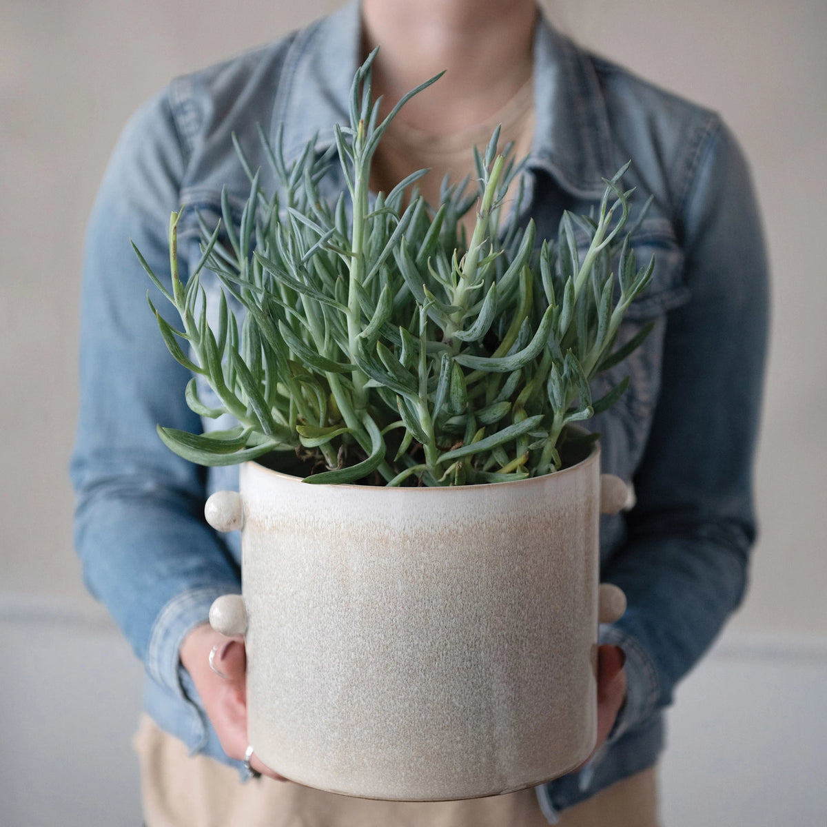 Poppy Planter – Homes to Treasure Shop